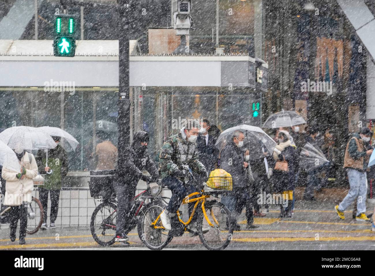 People wait for the light at the famed Shibuya scramble crossing as the ...