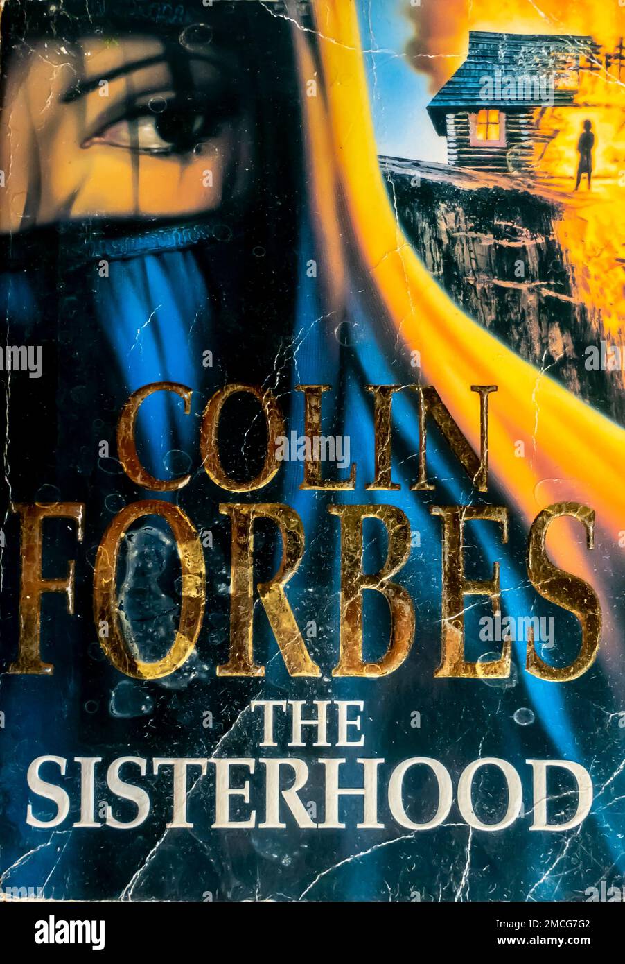 The Sisterhood Book by Raymond Harold Sawkins / Colin Forbes 1997 Stock ...