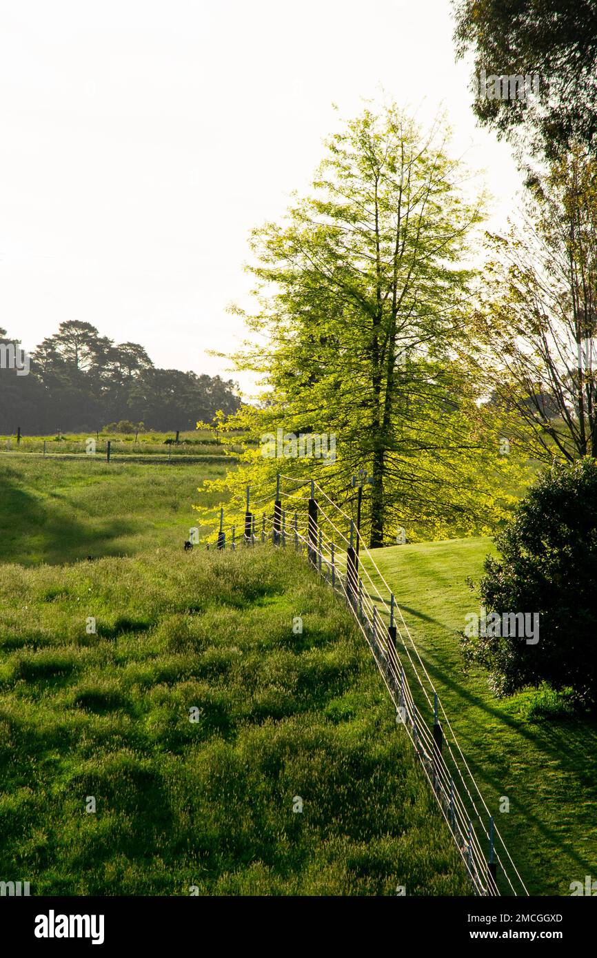 Fencing lush green grass hi-res stock photography and images - Alamy