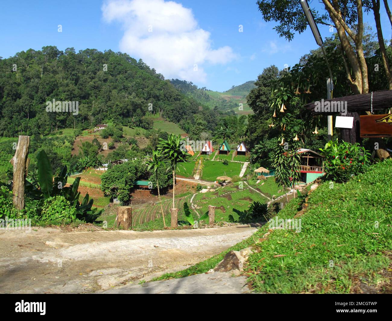 View landscape forest jungle and cityscape village countryside rural at ...
