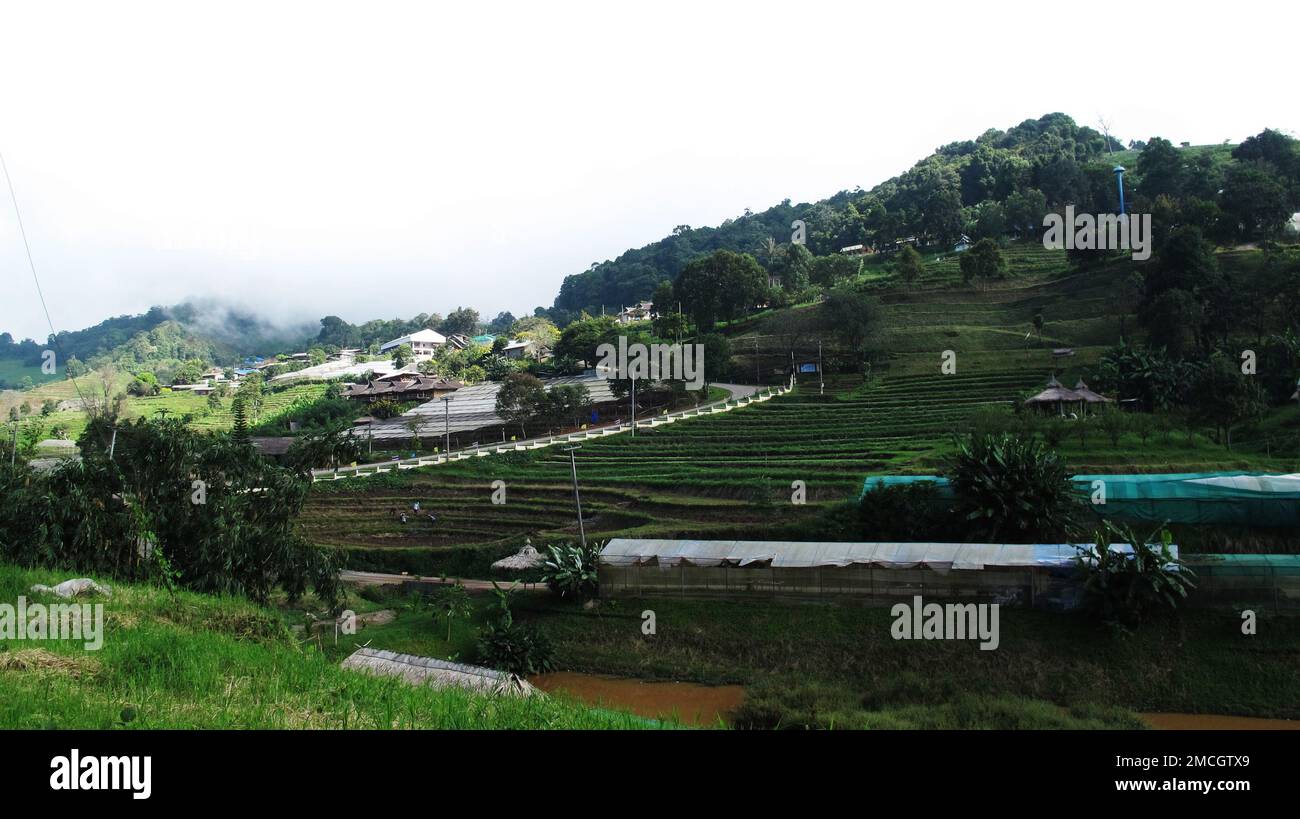 View landscape forest jungle and cityscape village countryside rural at ...