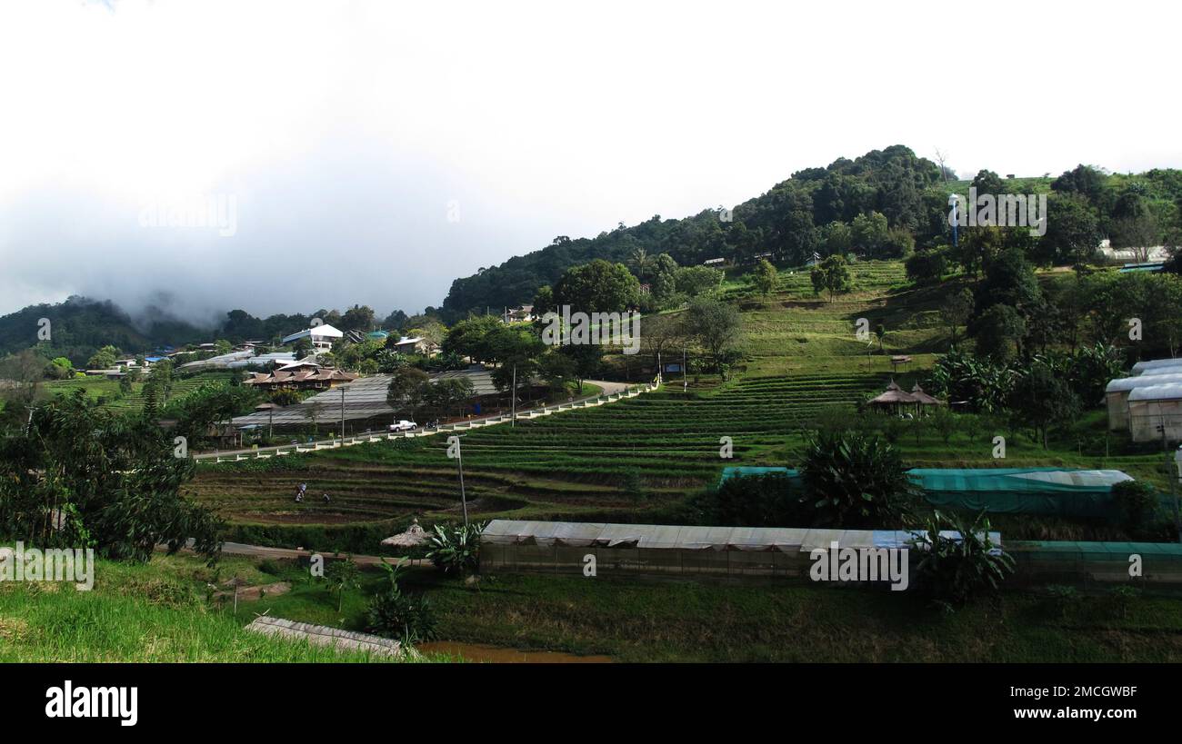 View landscape forest jungle and cityscape village countryside rural at ...