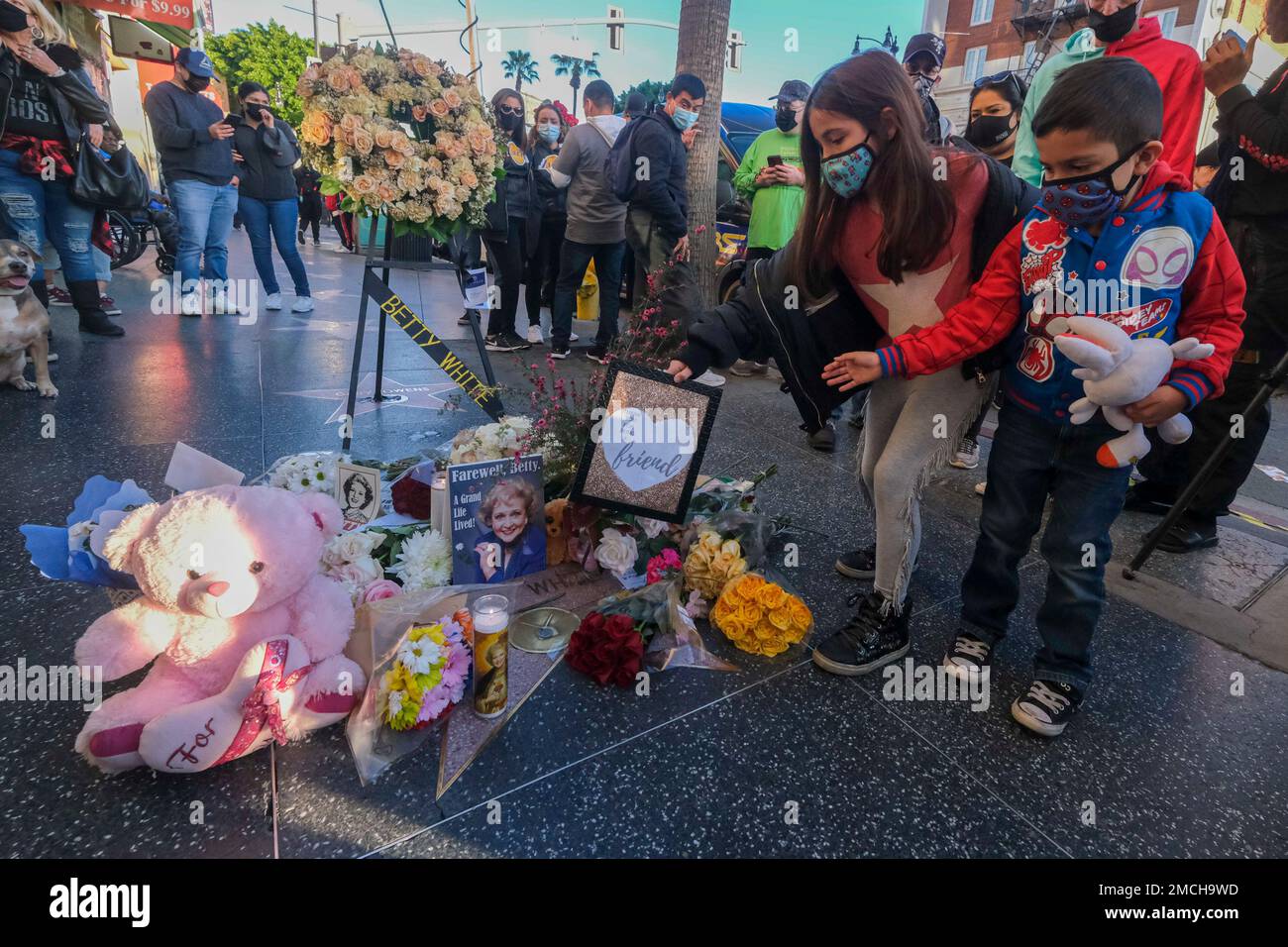 Xander Ceja, right, 7, and his sister Violet , 9, place a frame at the ...