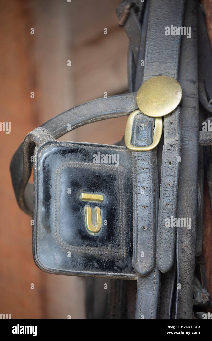 Horse bridle with Bar U brand on barn wall at Bar U Ranch National ...