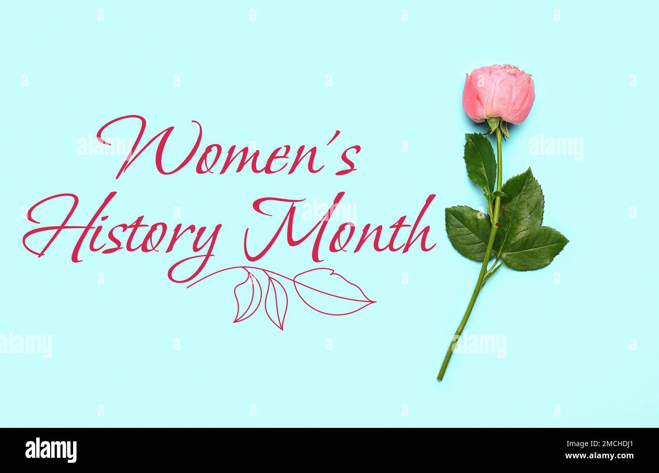 Beautiful peony rose on light blue background. Women's History Month ...