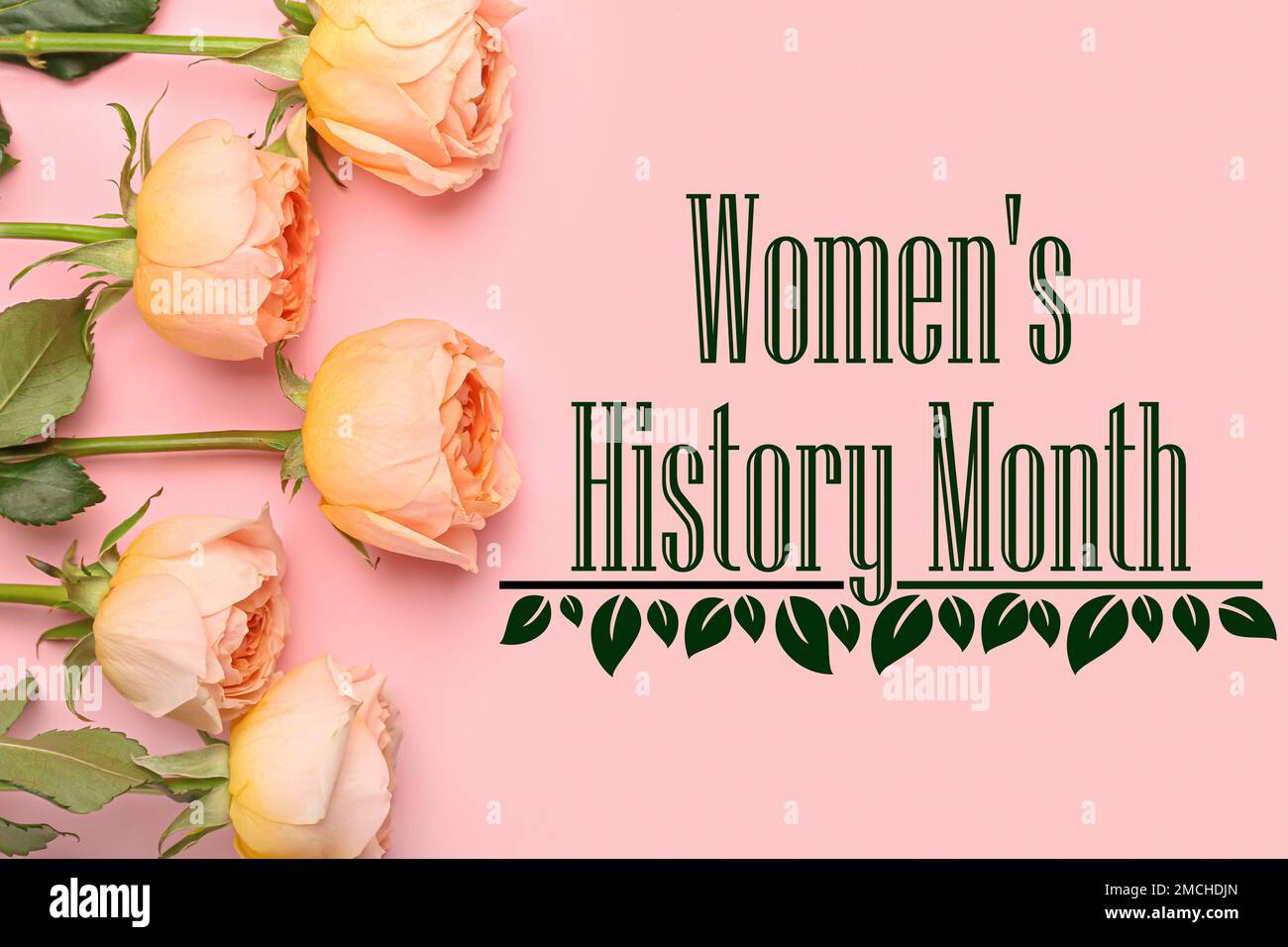 Beautiful peony roses on pink background. Women's History Month Stock ...