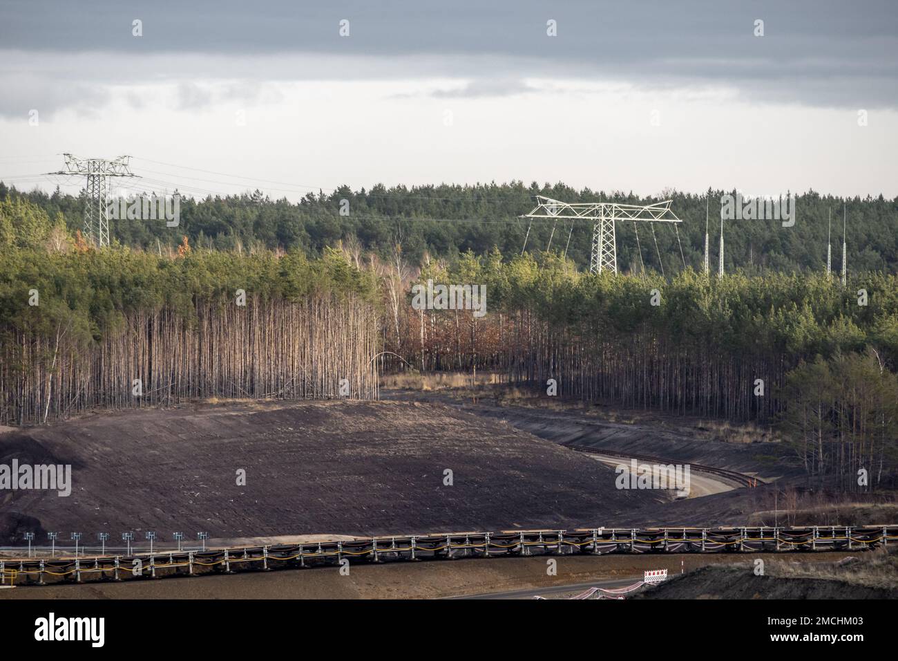 Trees of a forest next to an open cast mine. The pine trees get cleared ...