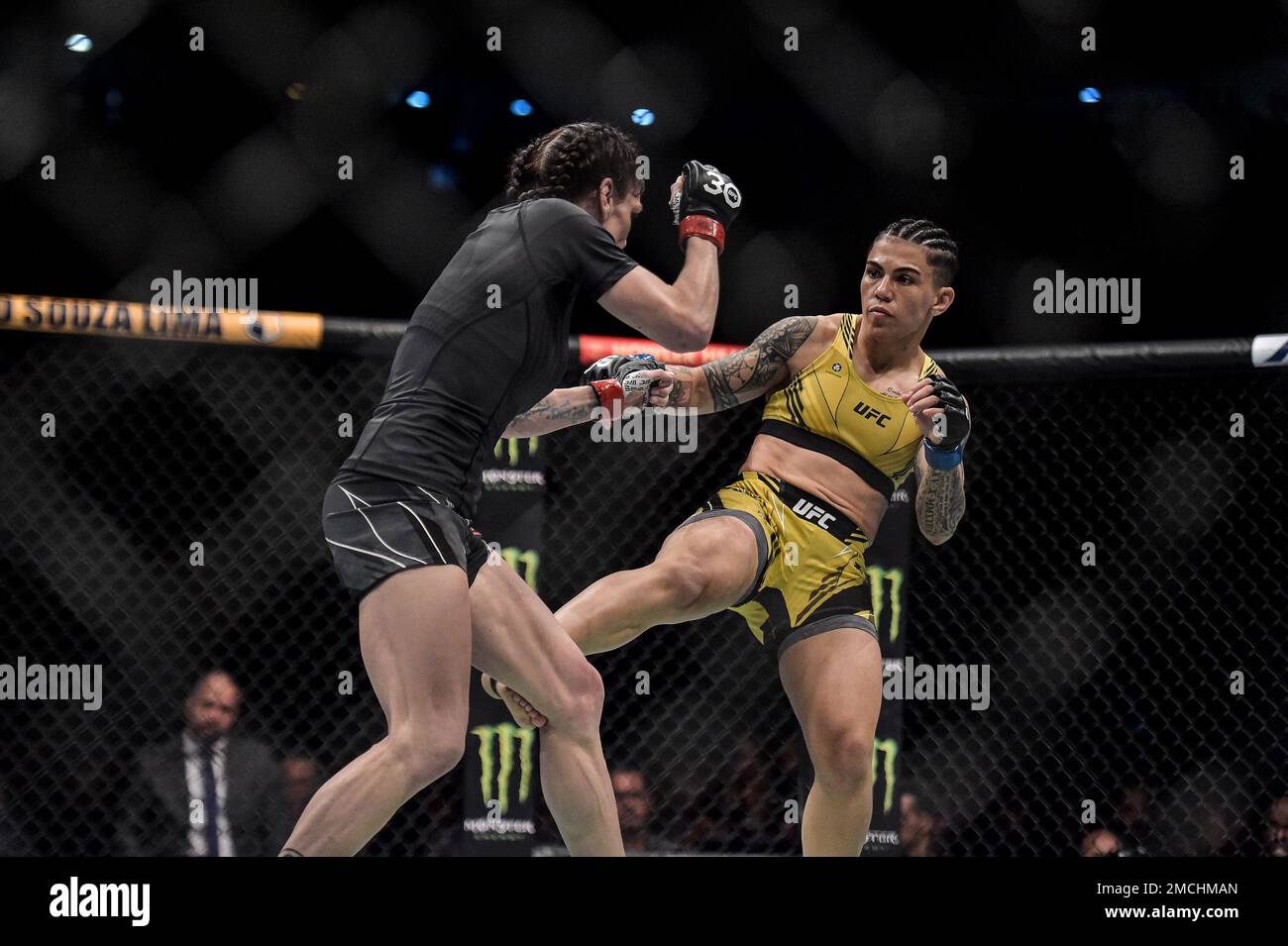 Rio De Janeiro, Brazil. 22nd Jan, 2023. RJ - Rio de Janeiro - 01/21 ...