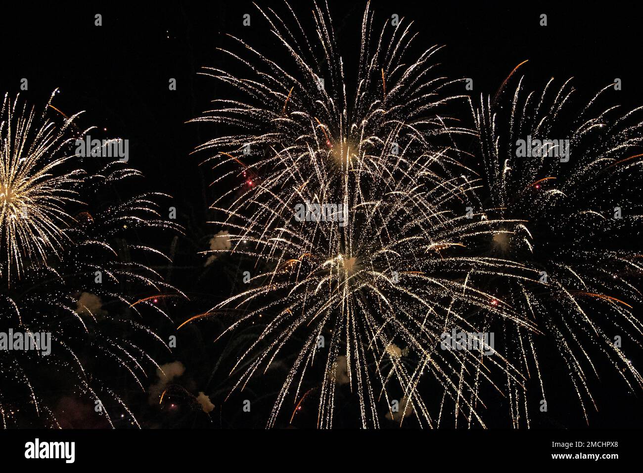 Fireworks explode over Hilton Field on Fort Jackson July 2in honor of ...