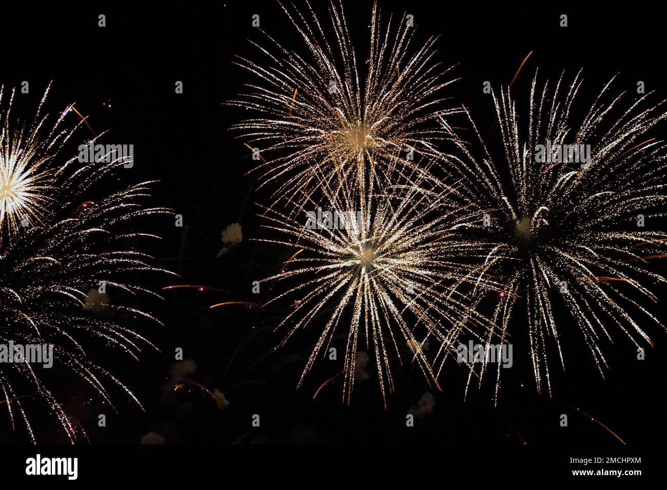 Fireworks explode over Hilton Field on Fort Jackson July 2in honor of ...