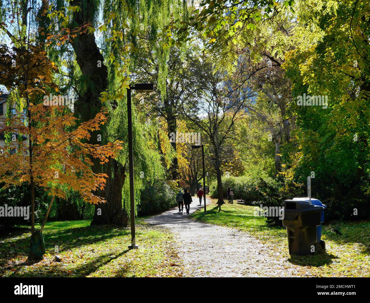 Park path winding through trees changing color in fall Stock Photo - Alamy