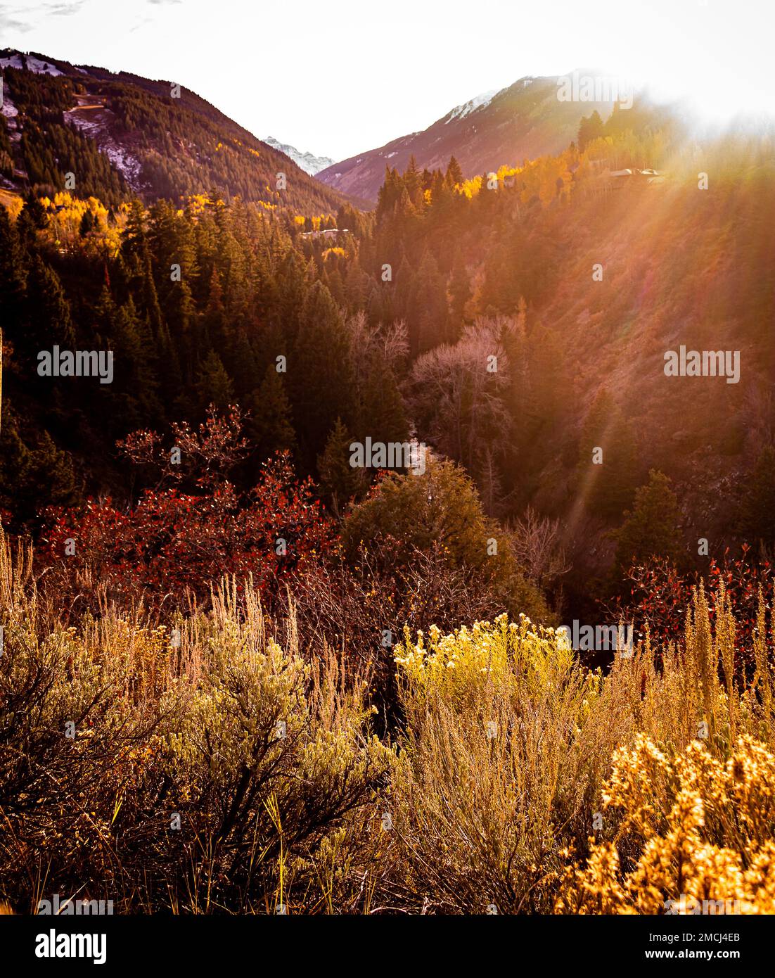 Transform perspective sun hi-res stock photography and images - Alamy
