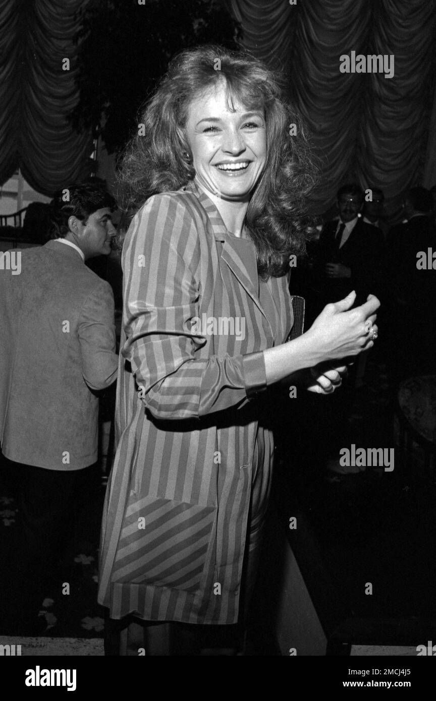 Karen Austin at the ABC affiliates party at the Century Plaza Hotel on ...