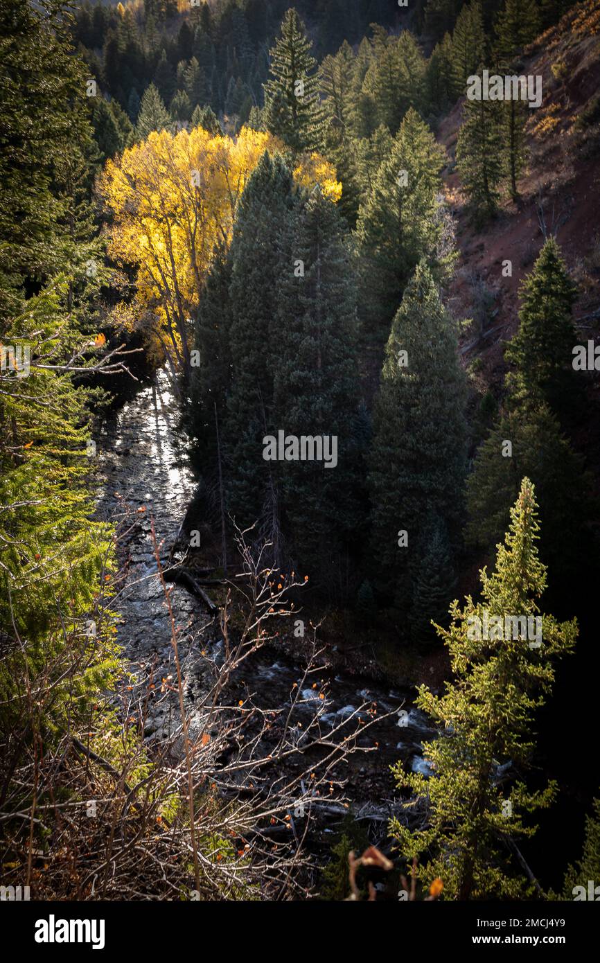 Transform perspective sun hi-res stock photography and images - Alamy