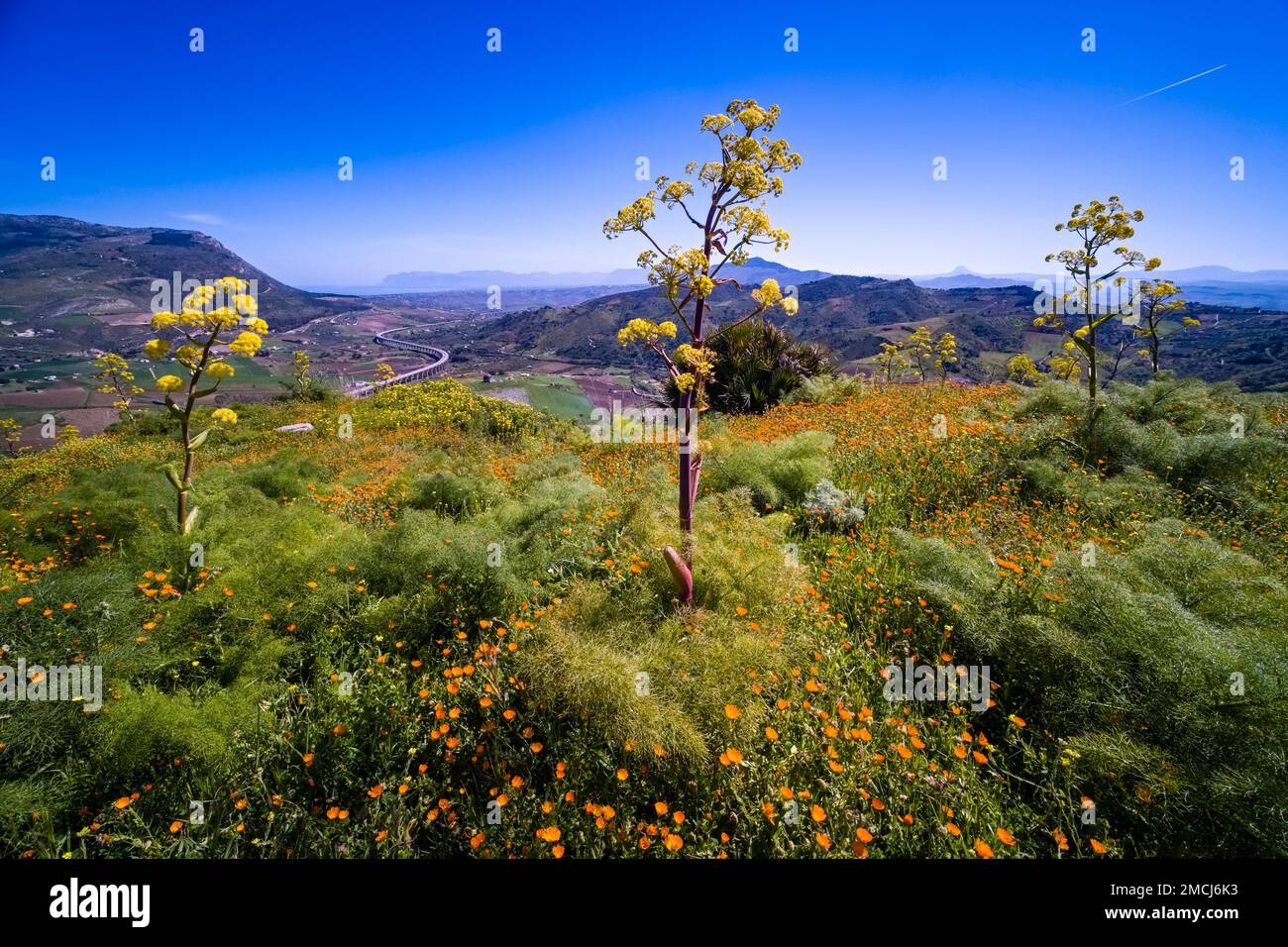 Sicilian agricultural landscape with green hills, fields, flowers and ...