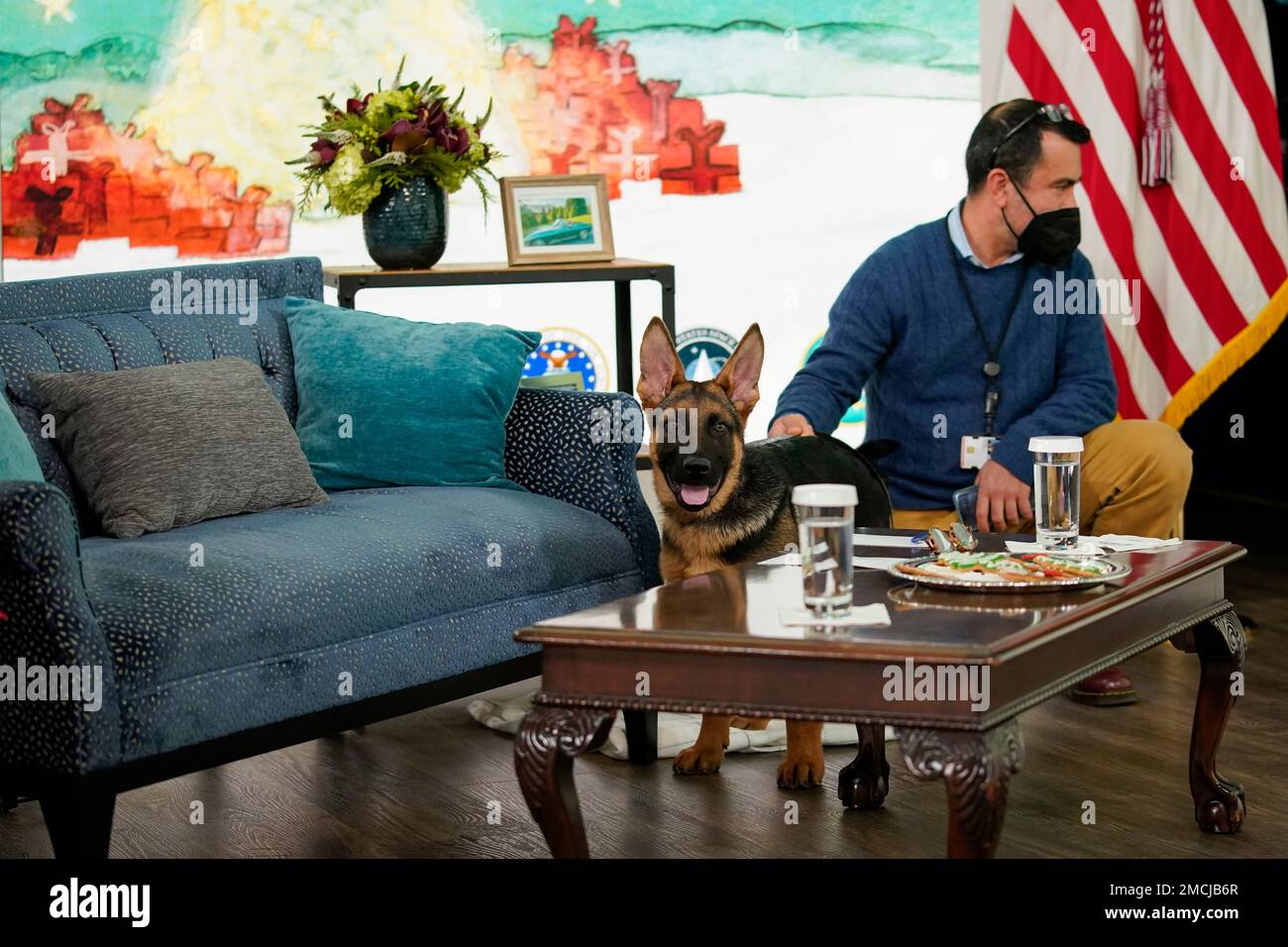 President Joe Biden, and first lady Jill Biden's new dog Commander, a ...