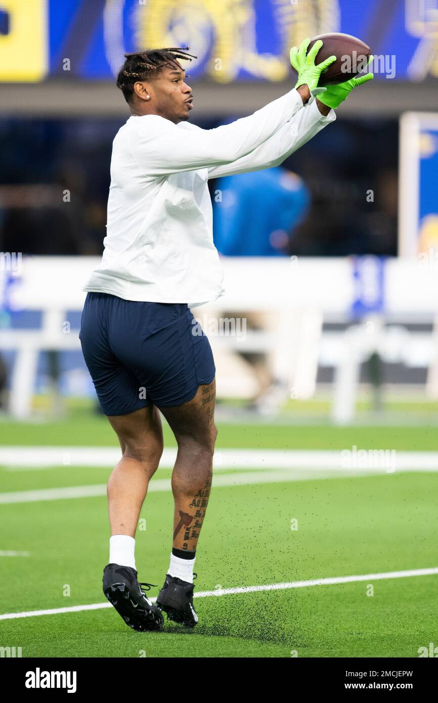 Seattle Seahawks tight end Gerald Everett (81) warms up before an NFL ...