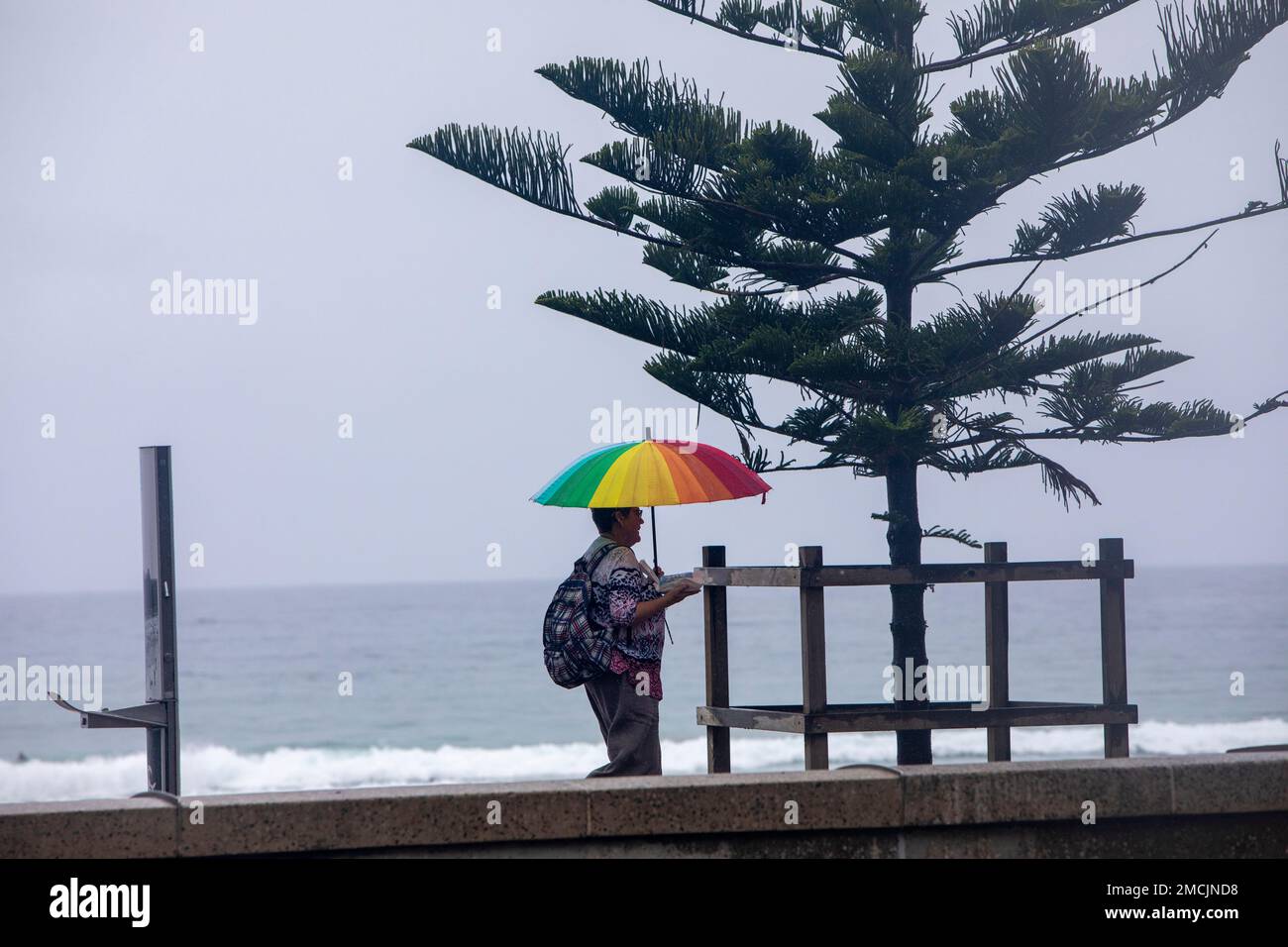 Results of heavy rain hi-res stock photography and images - Alamy