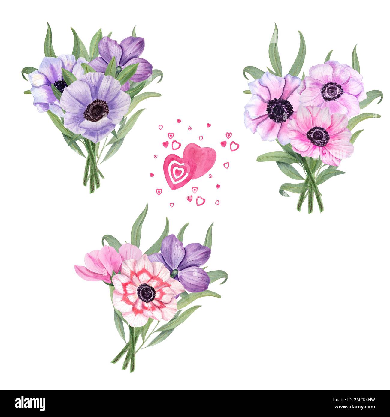 Watercolor set with anemones isolated on white background. Floral ...