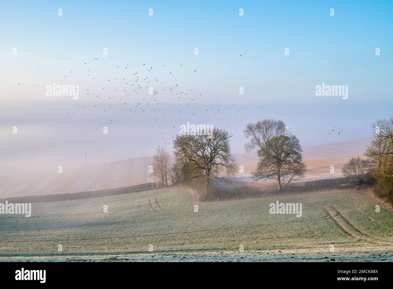 Winter morning sunlight over foggy frosty farmland in the Warwickshire ...