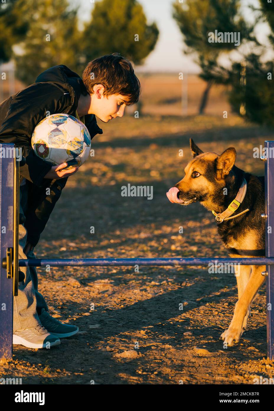 Dog jump over hi-res stock photography and images - Alamy