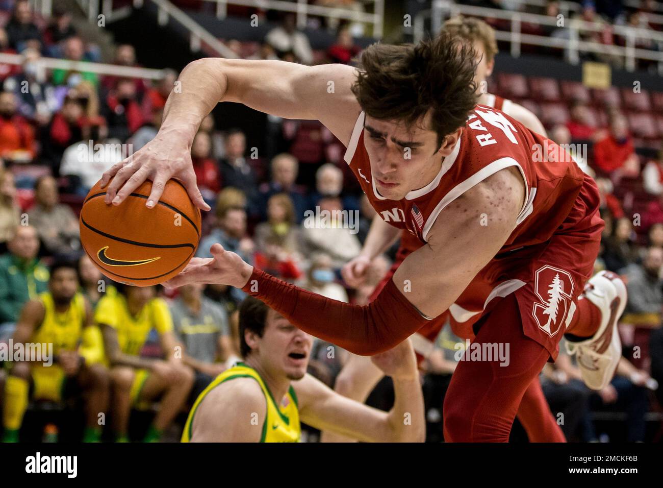 Stanford forward Maxime Raynaud scrambles for possession against Oregon ...