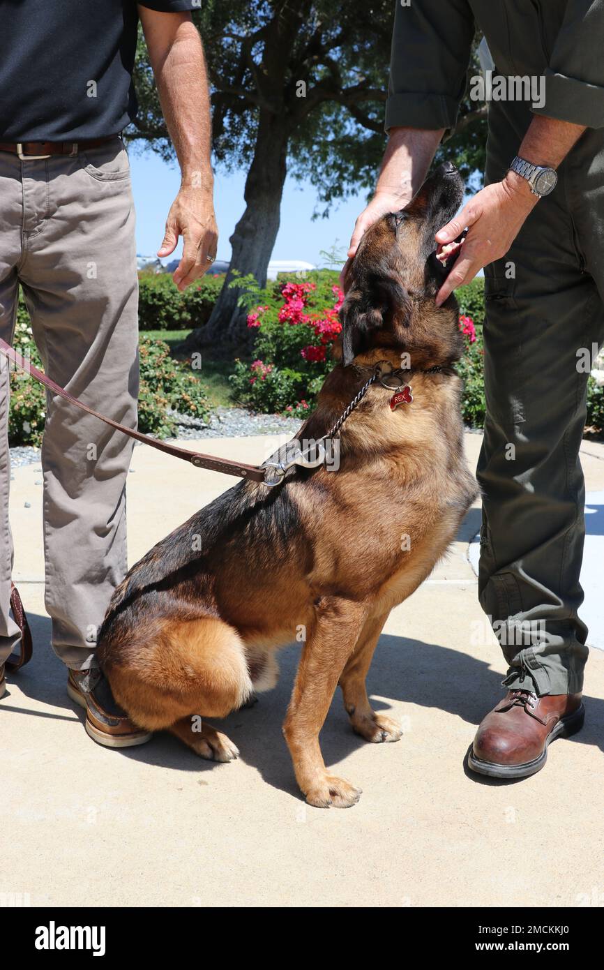 Recently retired Military Working Dog Rex was awarded the Navy and ...