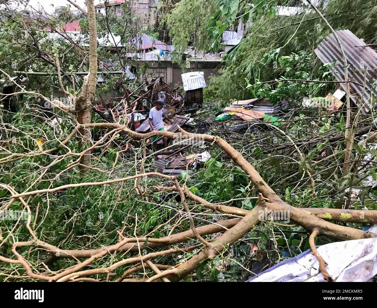 A man walks beside damaged homes and toppled trees caused by Typhoon ...