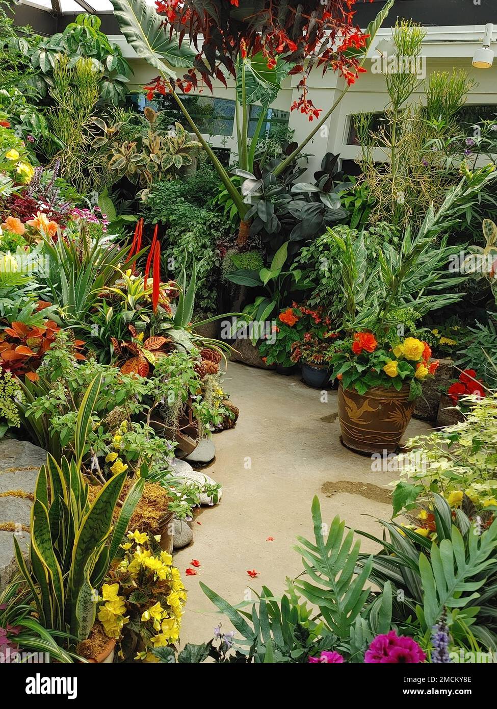 A vertical shot of colorful tropical plants and flowers in pots in the ...