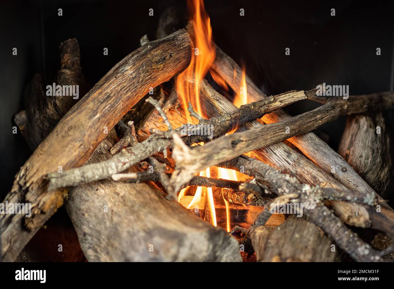 Wooden fireplace fire made with oak tree trunks that give a slow and ...