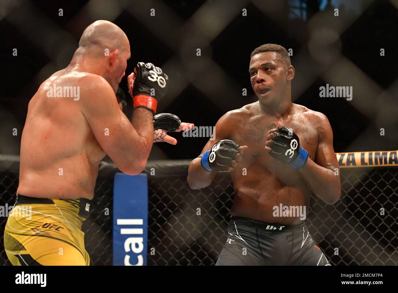 RIO DE JANEIRO, RJ - JANUARY 22: (L-R) Glover Teixeira battles Jamahal ...