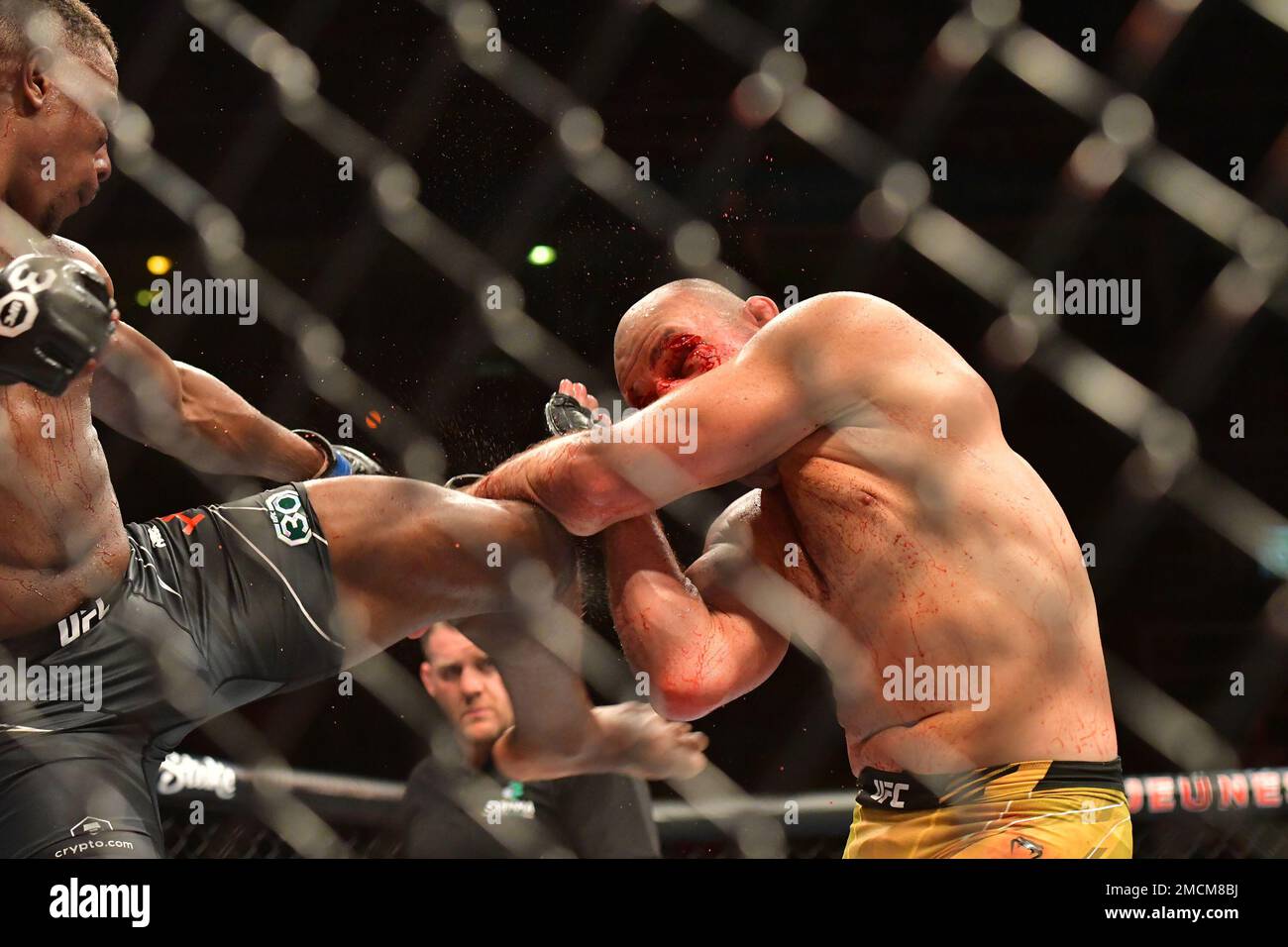 RIO DE JANEIRO, RJ - JANUARY 22: (L-R) Jamahal Hill kicks Glover ...