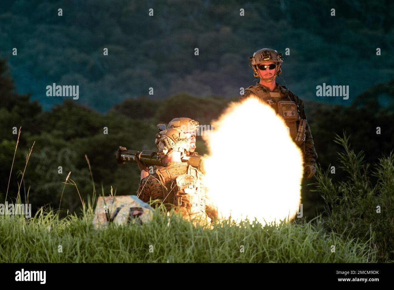 U.S. Marines with Battalion Landing Team 2/5, 31st Marine Expeditionary ...