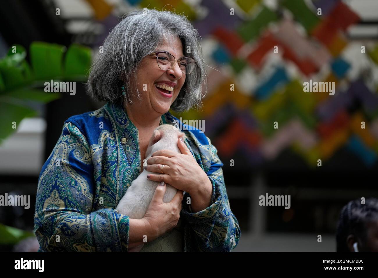 Miami-Dade County Mayor Daniella Levine Cava holds a 12-day-old pig ...