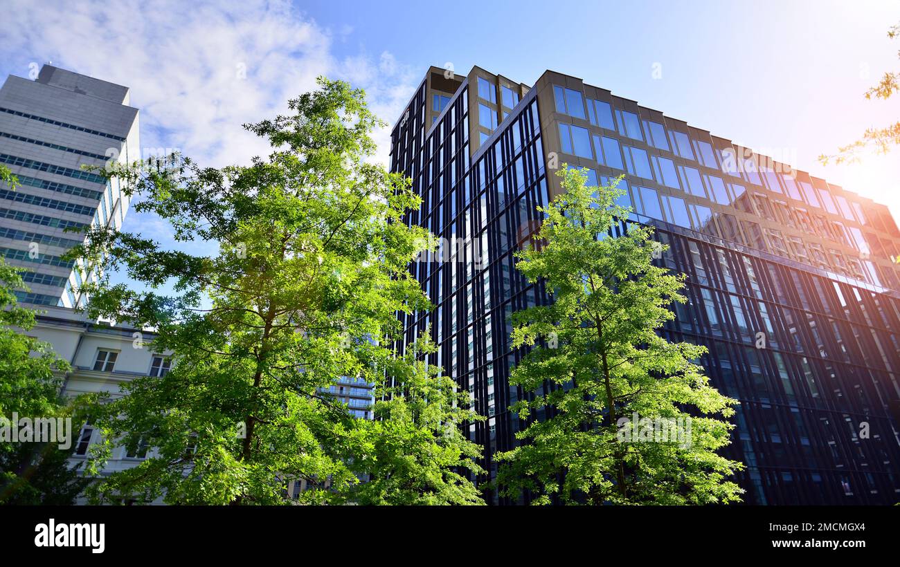 Fresh green trees and office building, business concept. Eco building ...