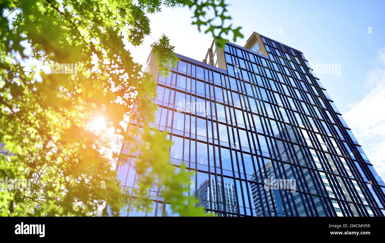 Fresh green trees and office building, business concept. Eco building ...
