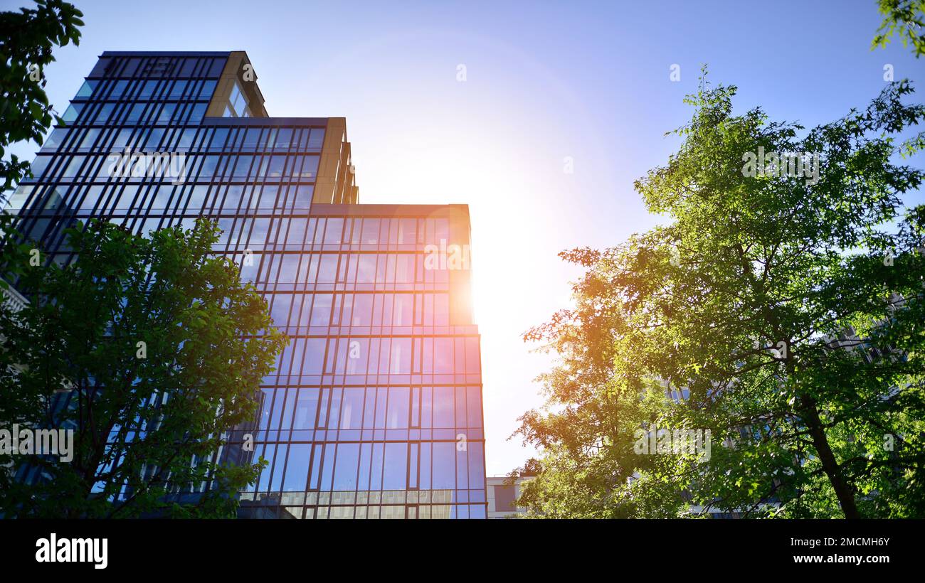 Fresh green trees and office building, business concept. Eco building ...