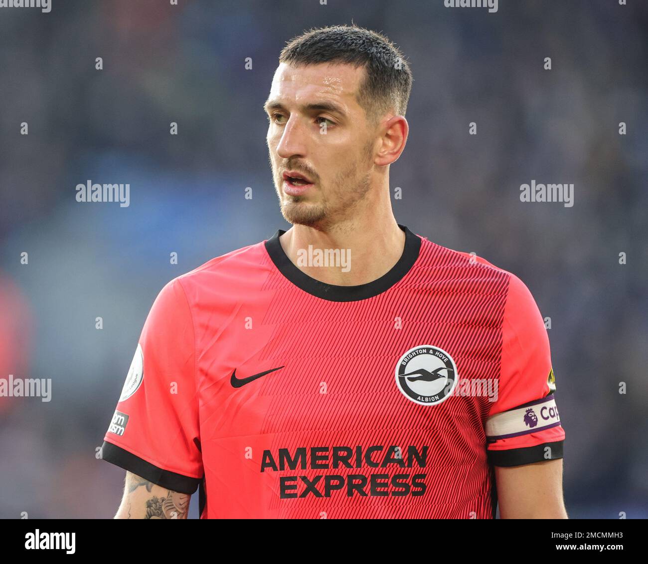 Lewis dunk 2023 hi-res stock photography and images - Alamy