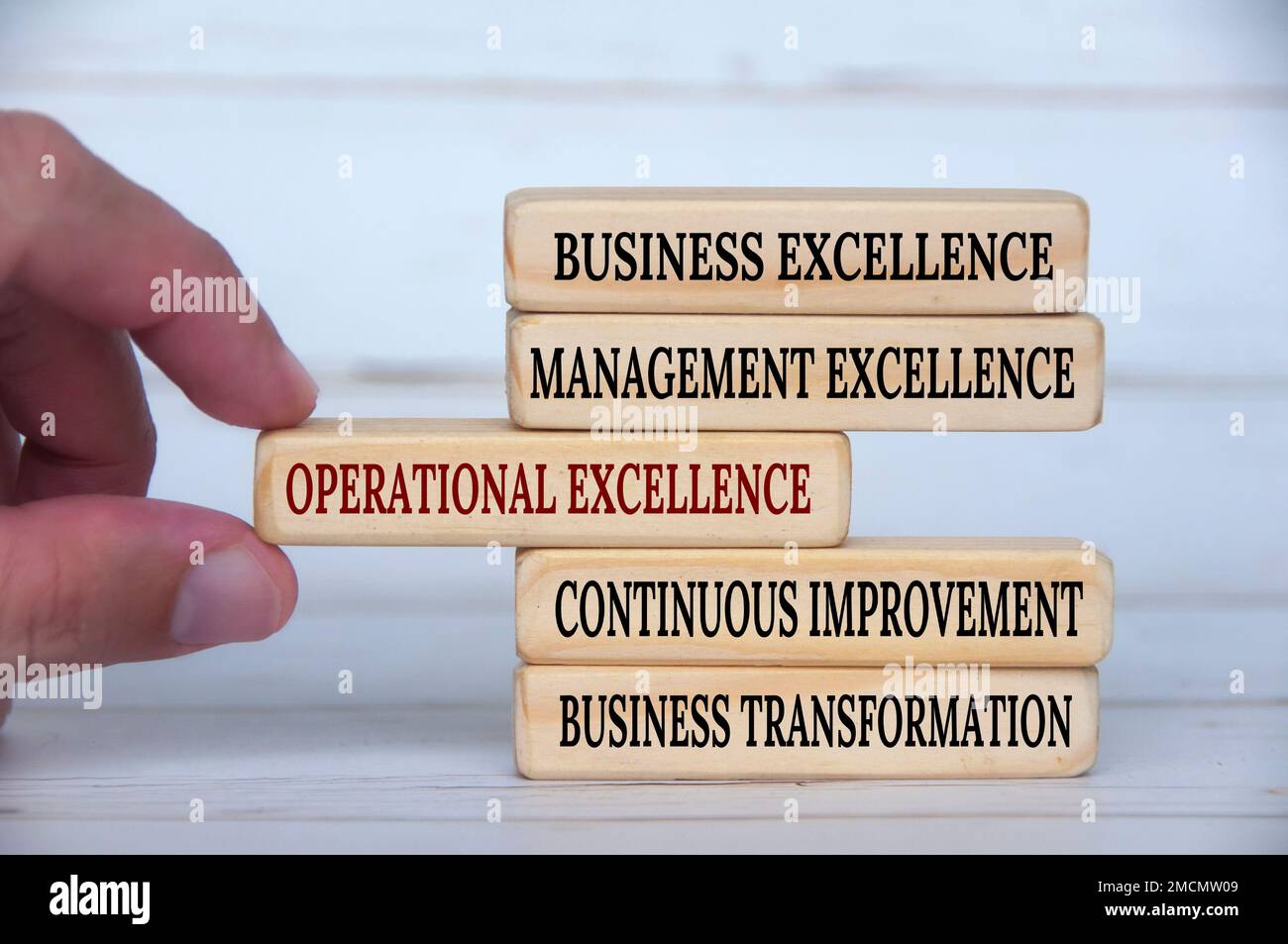 Business, management and operational excellence and continuous ...