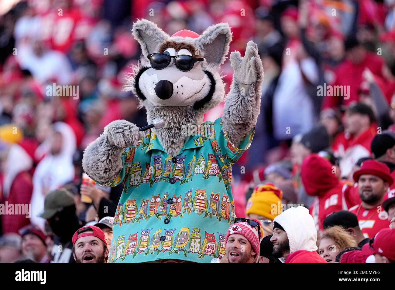 Kansas City Chiefs mascot KC Wolf entertains the crowd during an NFL ...