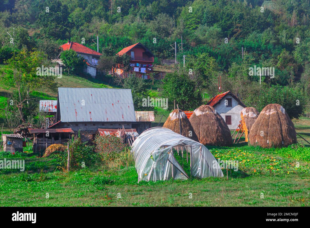 Courtyard farm hay straw hi-res stock photography and images - Alamy