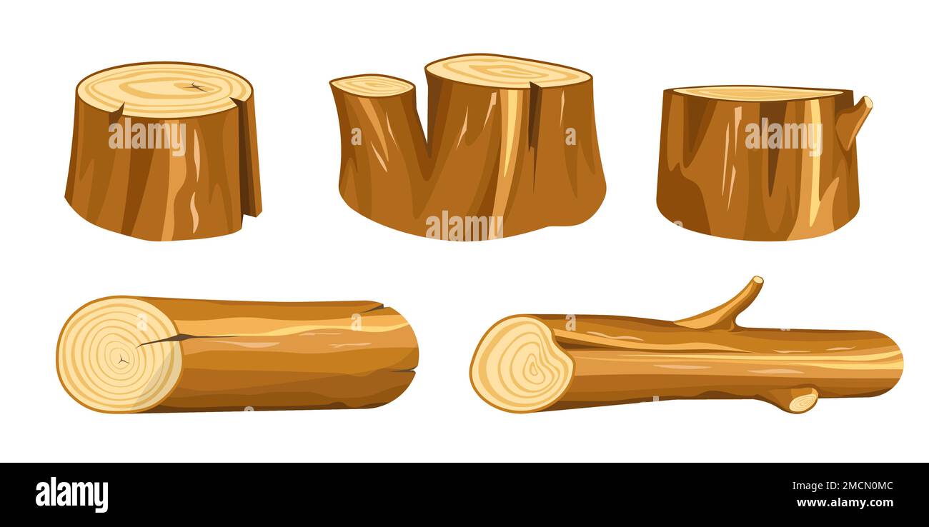 Wood stump and log wooden forest natural materials Stock Vector Image ...