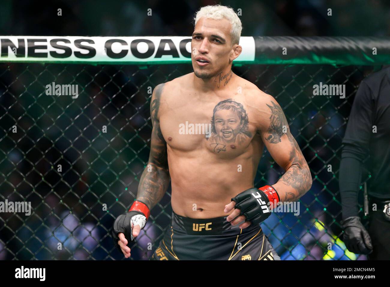 Charles Oliveira enters the octagon before a lightweight mixed martial ...