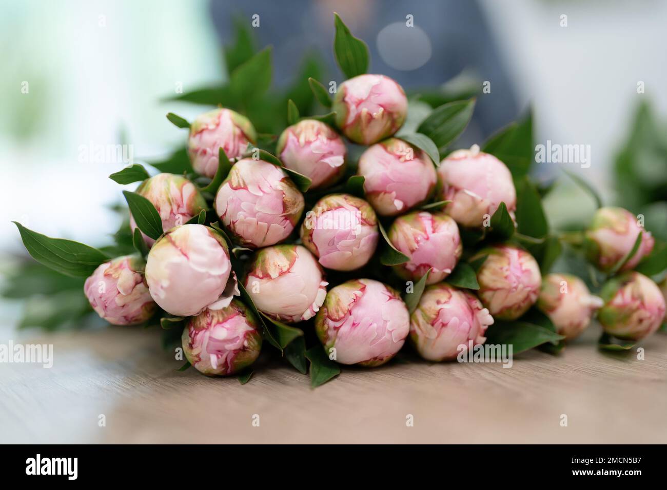 Wallpaper. Lovely flowers, pink fresh peonies buds. Bunch of flowers on ...