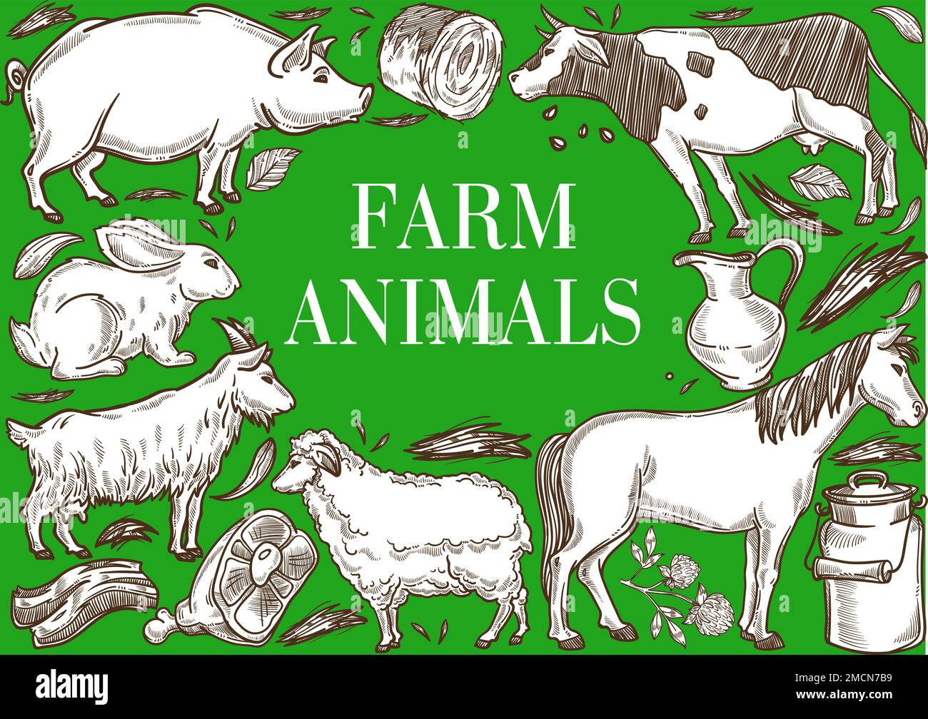 Farm animals frame poster cattle and livestock farming Stock Vector ...