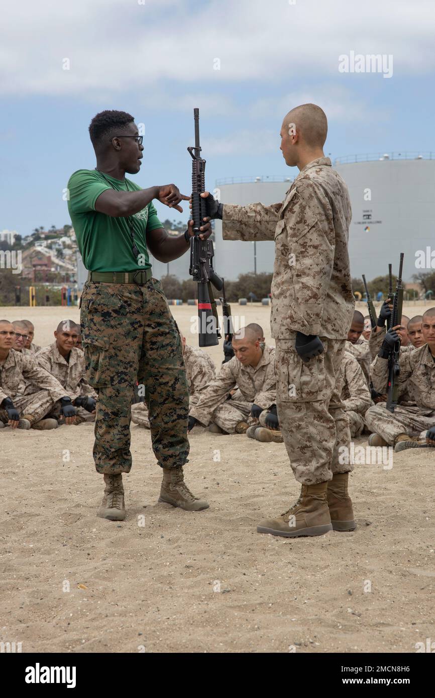 A U.S. Marine Corps drill instructor with Instructional Training ...