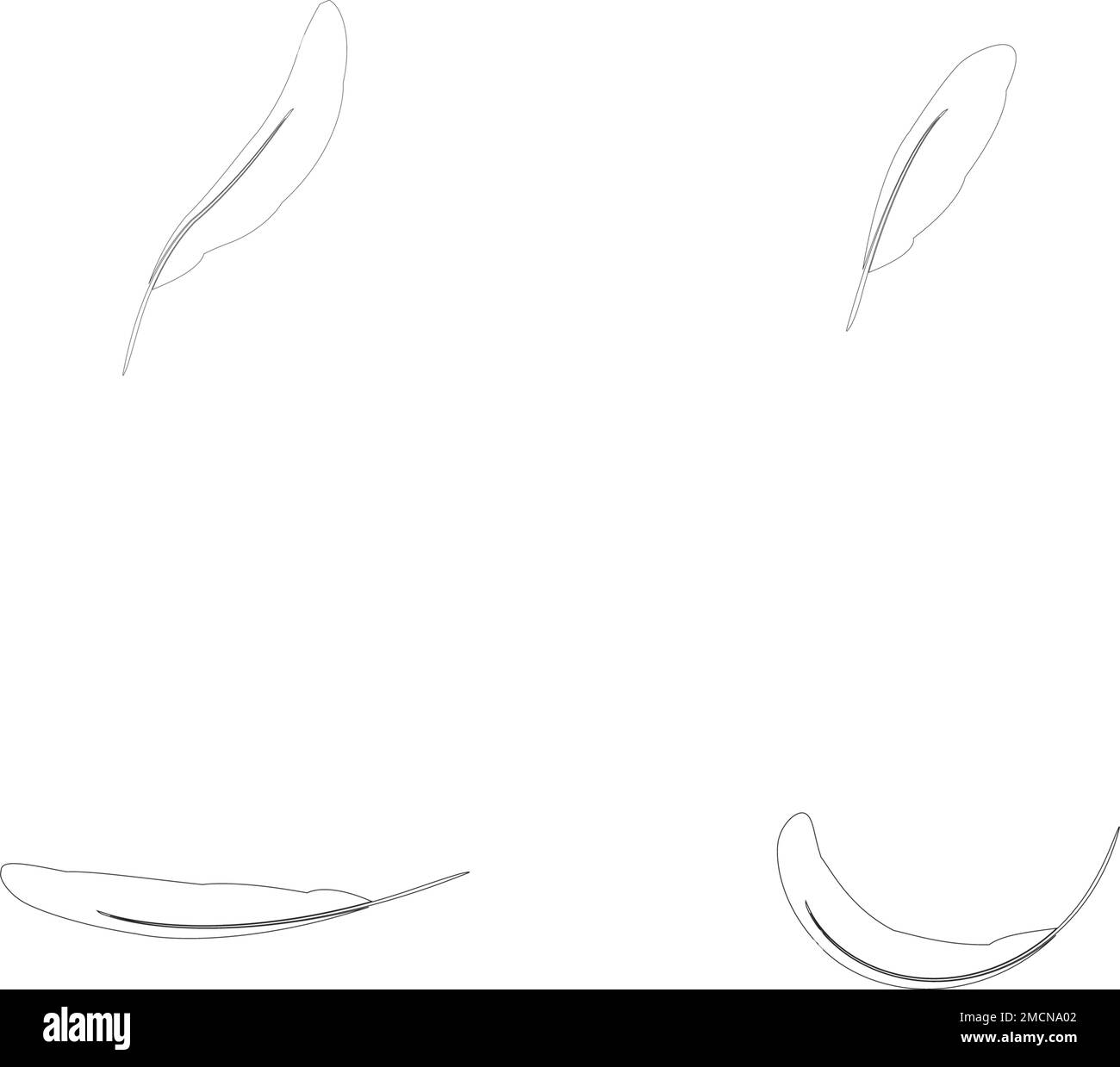 Feather ilustration logo vector template Stock Vector Image & Art - Alamy