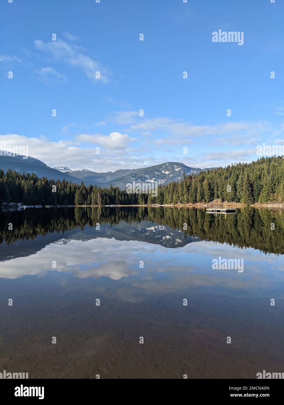 A vertical shot of a peaceful lakeside with a reflection of coniferous ...