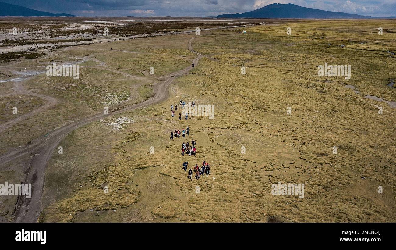Migrants walk in a field after crossing into Chile from Bolivia, near ...