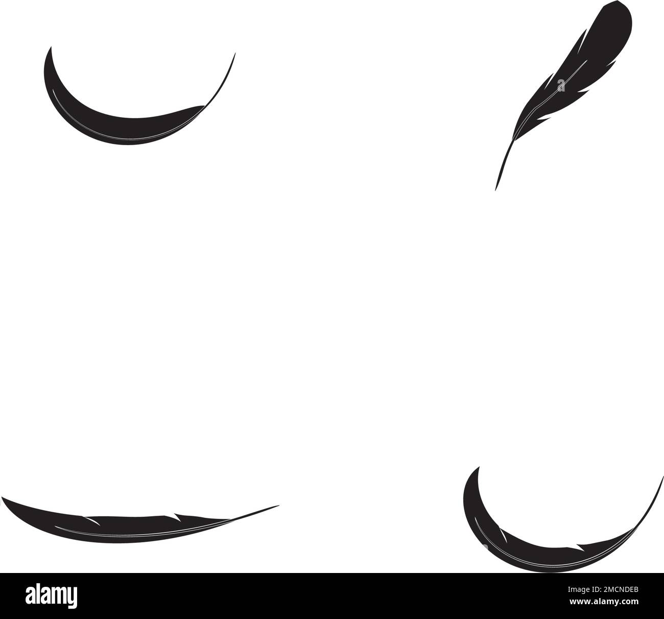Feather ilustration logo vector template Stock Vector Image & Art - Alamy